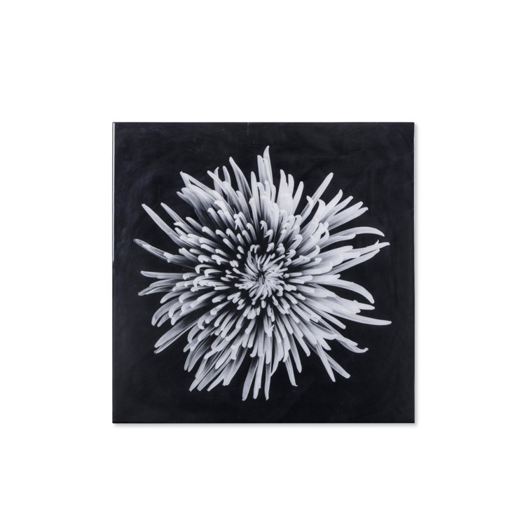 Andrew Martin Black And White Epoxy by Andrew Martin | Perigold