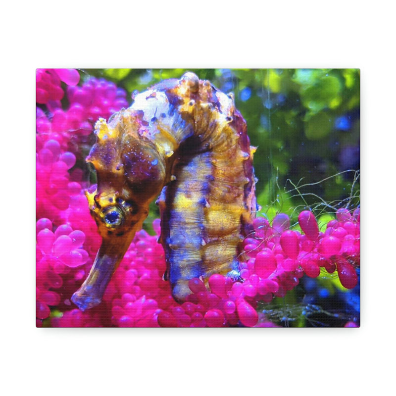 Rosecliff Heights Seahorse by Kelly Johnson - Wrapped Canvas Graphic ...