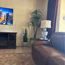 Primrue 6' Dracaena Tree In Square Metal Planter & Reviews | Wayfair