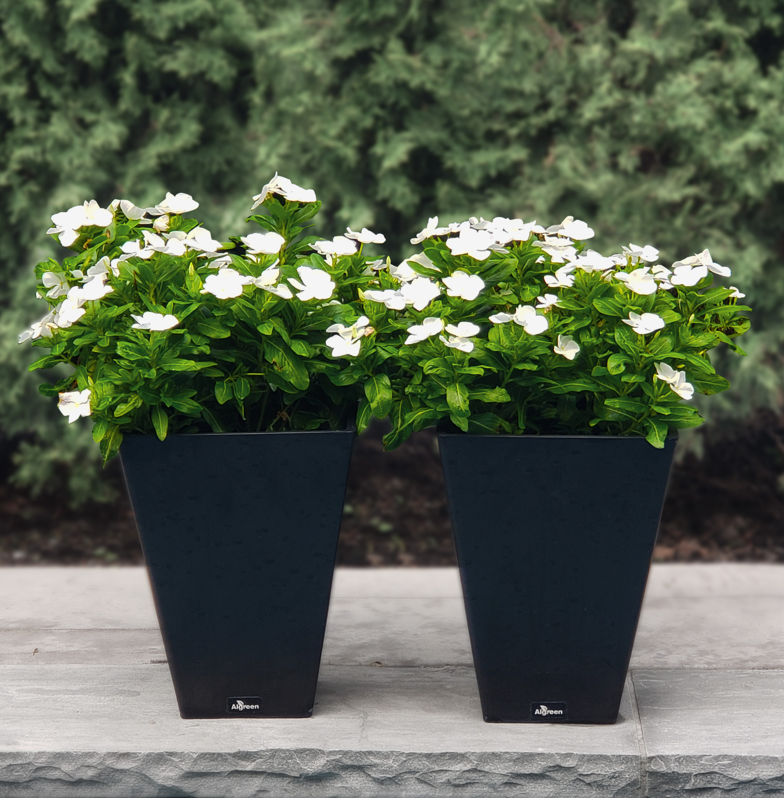 Charlton Home Cara Composite Pot Planter Set with Water Trays & Reviews ...