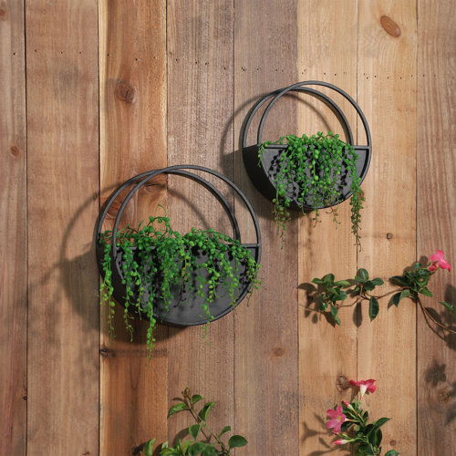 Indoor Planters | Wayfair