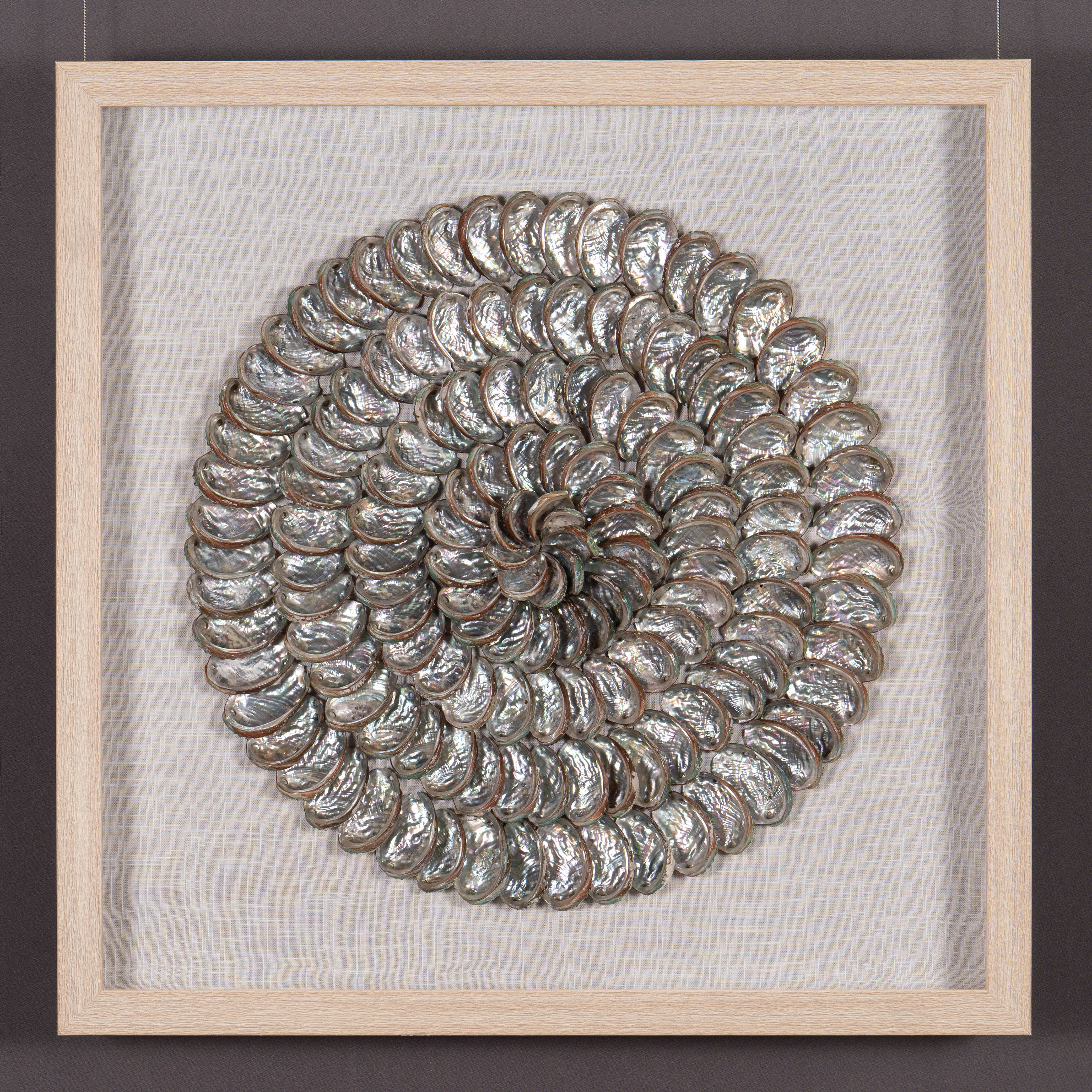 Rosecliff Heights Abalone Shell Rings Handmade Wall Décor | Wayfair