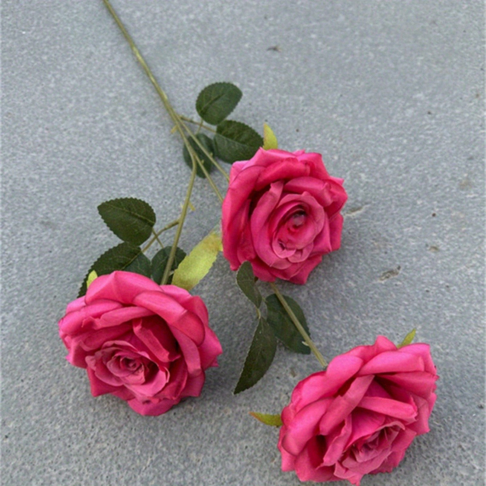 Alcott Hill 10 Pcs Artificial Rose Flower Realistic Silk Roses with ...