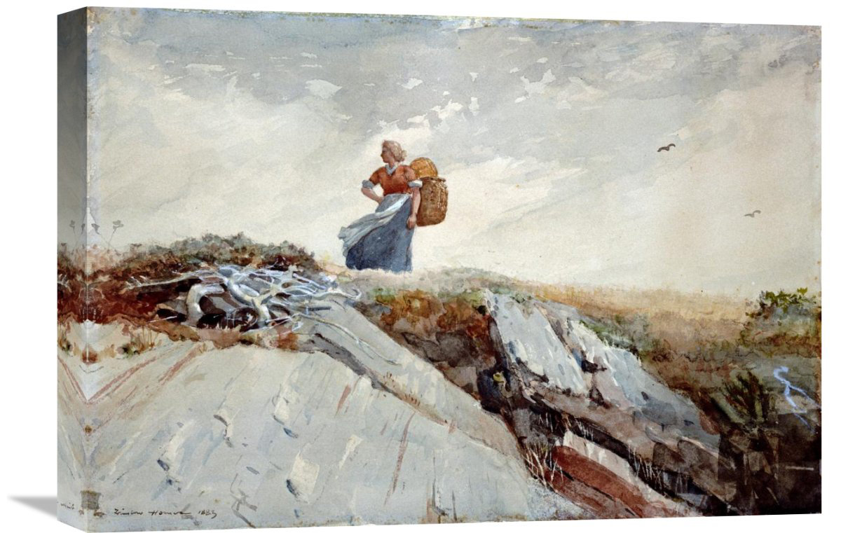 Vault W Artwork 'Down the Cliff' by Winslow Homer Painting Print on ...