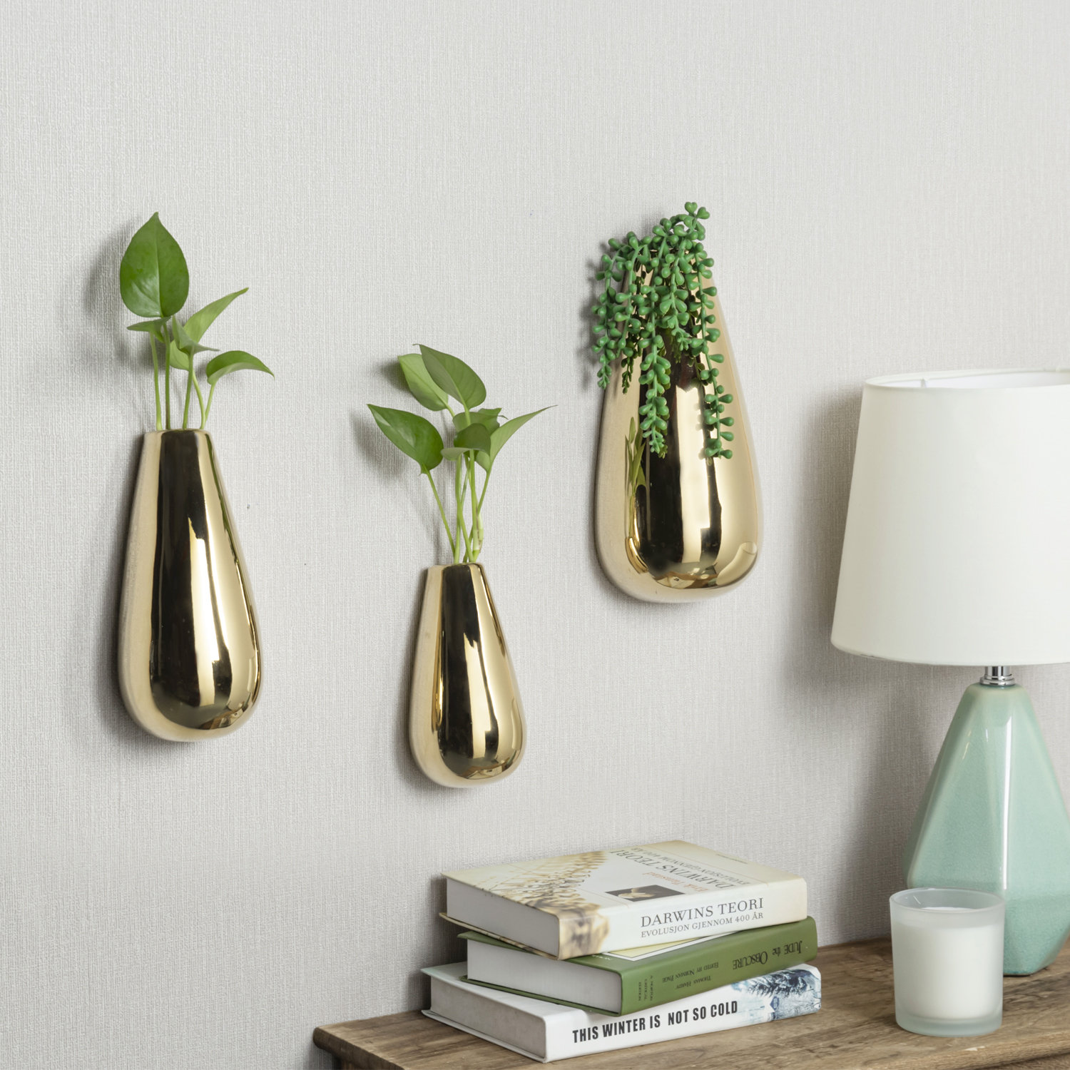 Red Barrel Studio Donald-John 3-Piece Ceramic Wall Planter Set ...