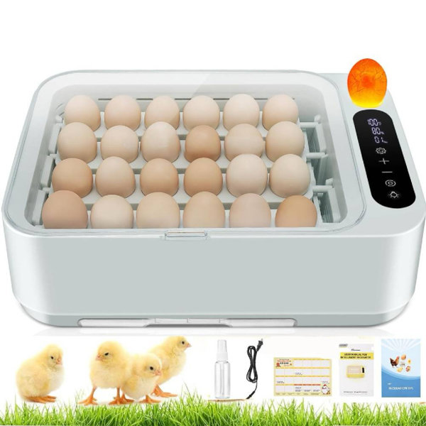 Tucker Murphy Pet™ Eldiona Chicken Egg Incubator For Up To 20+ Eggs ...