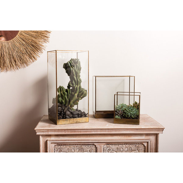 17 Stories Display Box | Wayfair