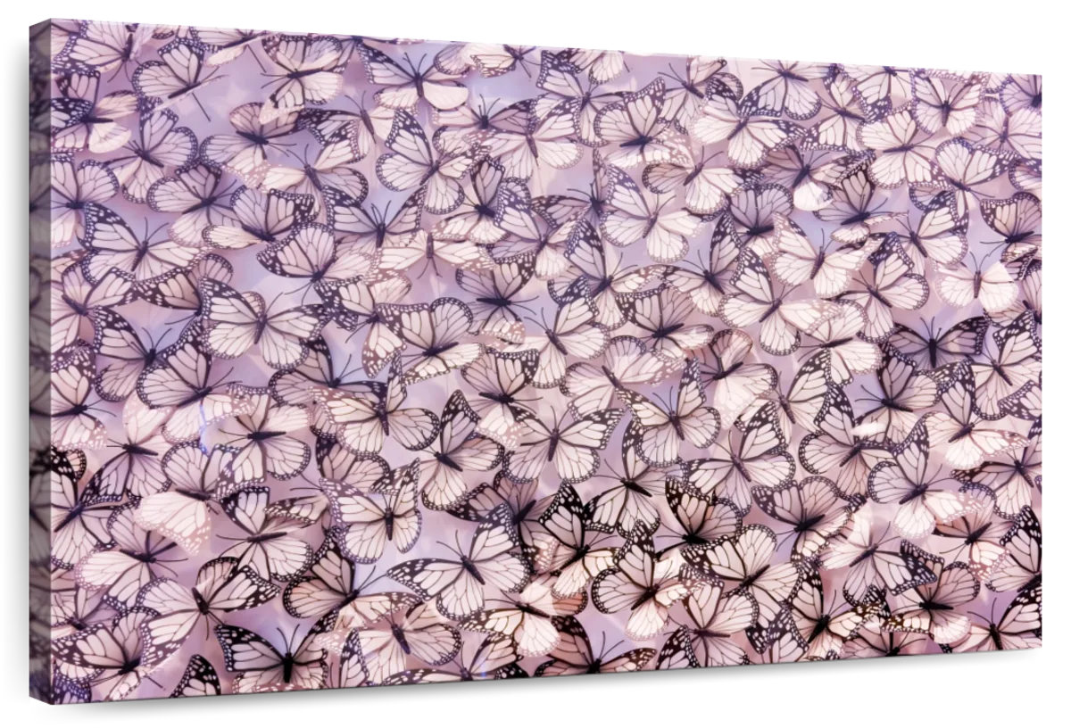 Ebern Designs Brampt Pink Butterfly Swarm | Wayfair