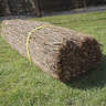Dakota Fields Swink Brushwood Thatch Screen Roll | Wayfair.co.uk