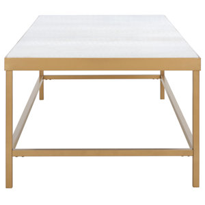 Safavieh Couture Caralyn Rectangle Marble Coffee Table & Reviews | Perigold
