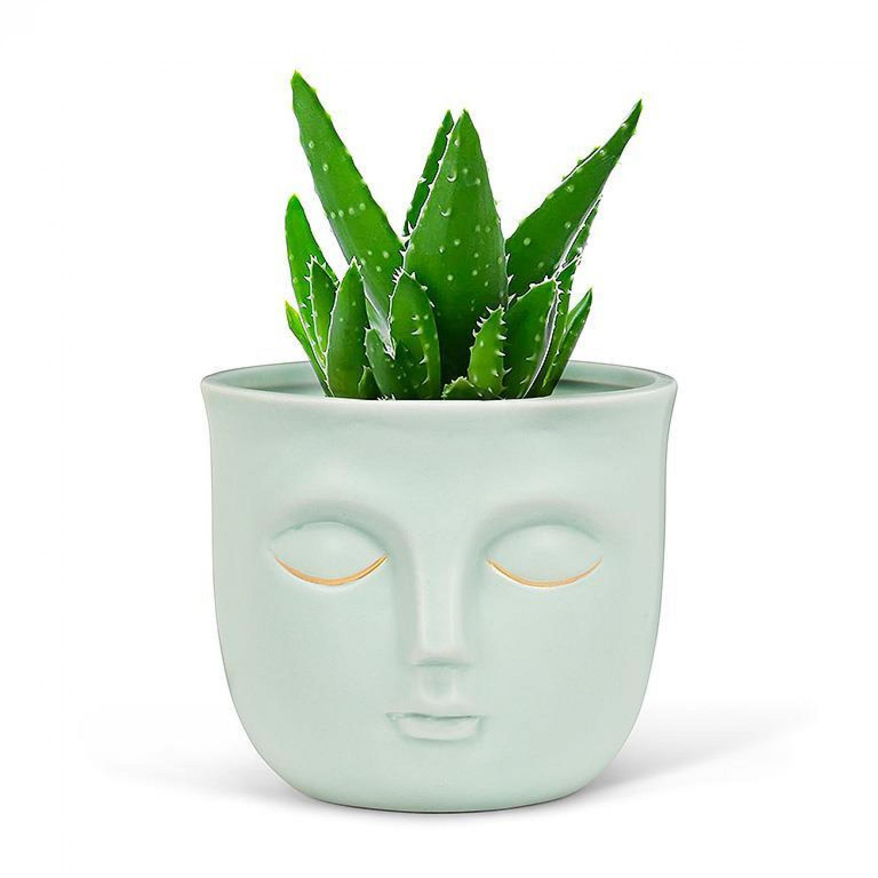 Dakota Fields Mint Green Sleeping Face Planter | Wayfair