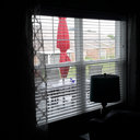 Charlton Home® Carlena Polyester Sheer Curtain Pair & Reviews | Wayfair