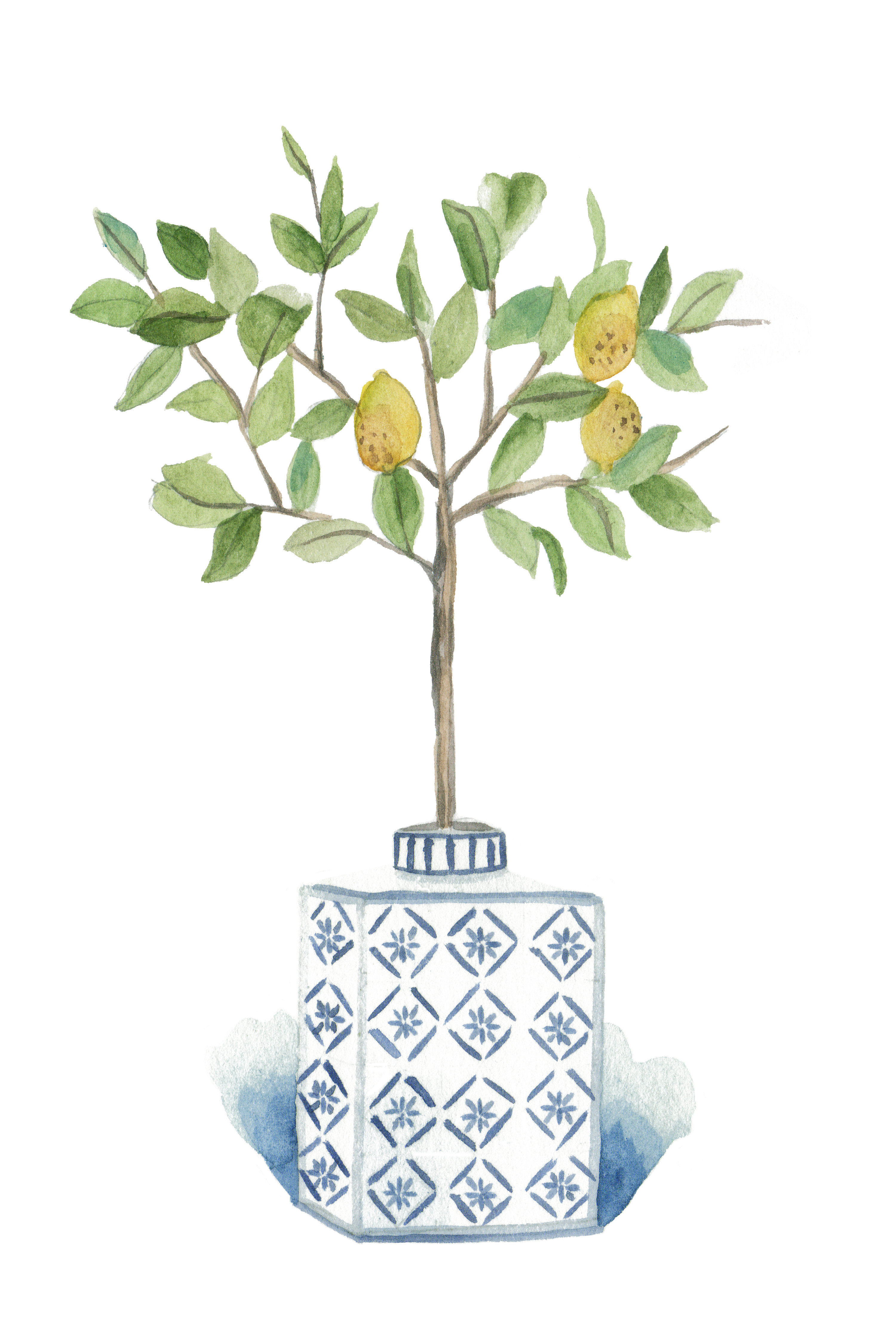 August Grove® Asadulla Growing Lemon II On Canvas by Melissa Wang Print ...