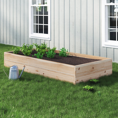 Gracie Oaks Buckingham Wood Raised Garden Bed & Reviews | Wayfair