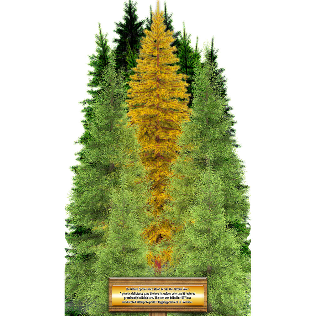 Wet Paint Printing «Golden Spruce Most Famous Trees» en carton ...