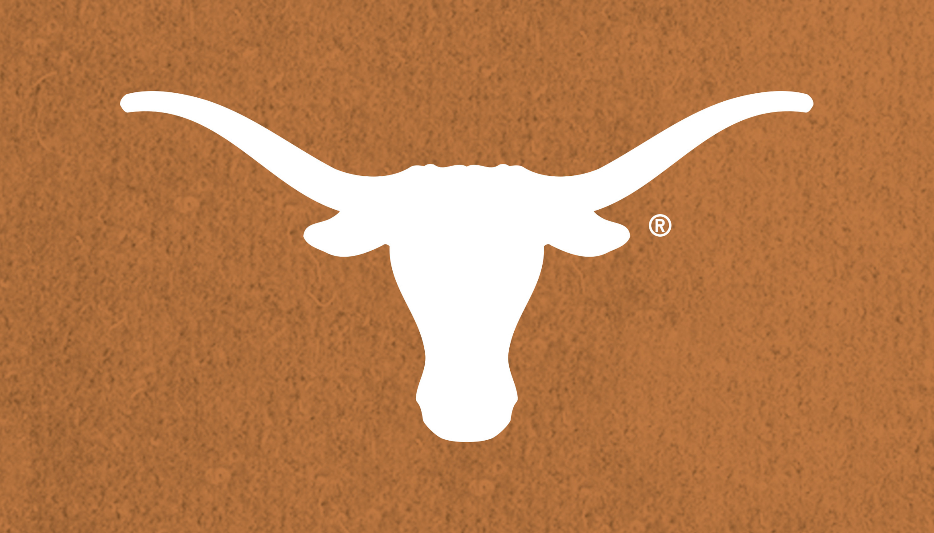 Evergreen Enterprises, Inc Non-Slip Outdoor Doormat | Wayfair