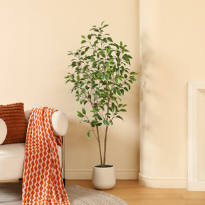 Primrue Adcock Faux Ficus Tree with Round White Planter, Pre Potted ...