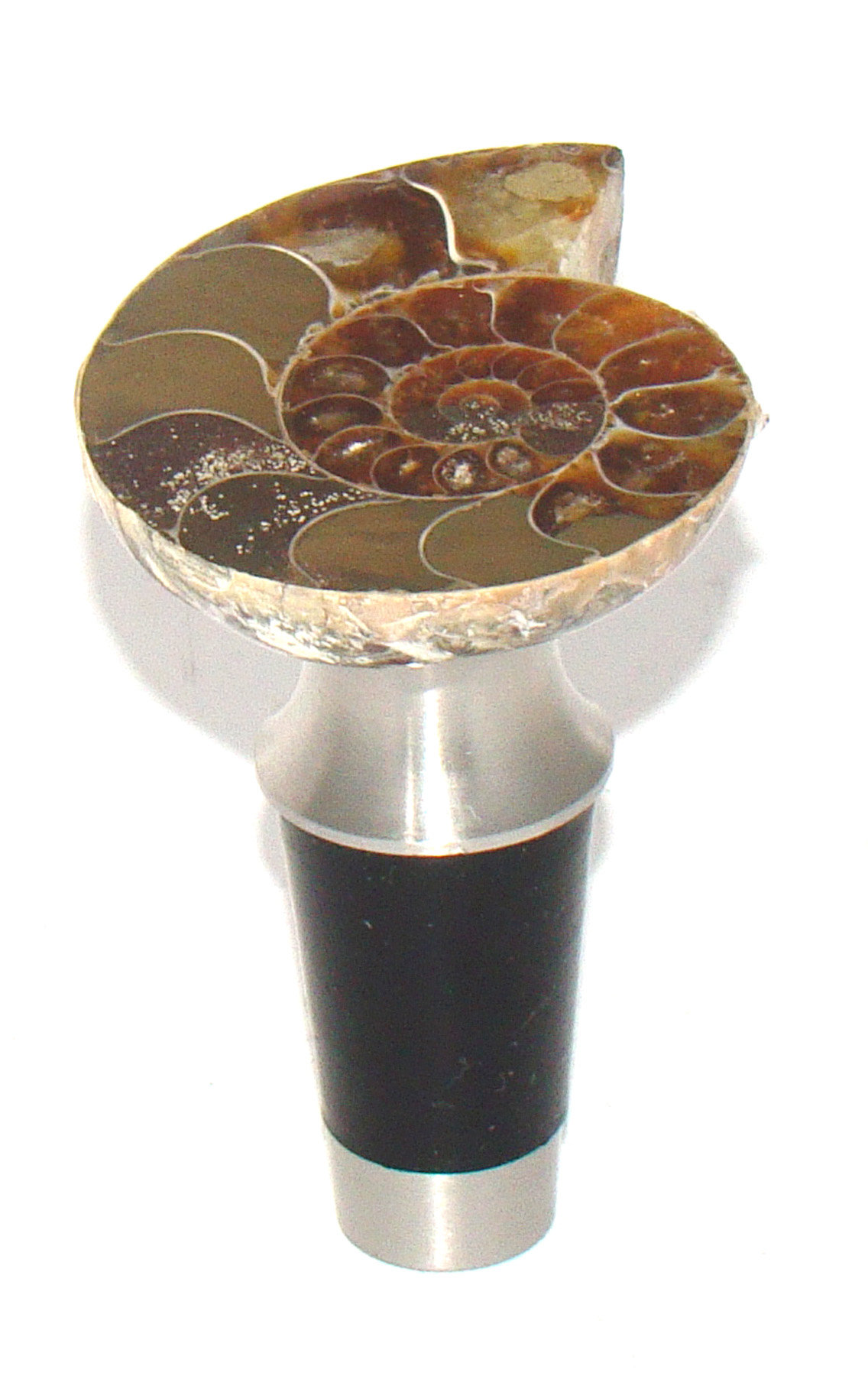Rosecliff Heights Ammonite Wine Stopper - Wayfair Canada