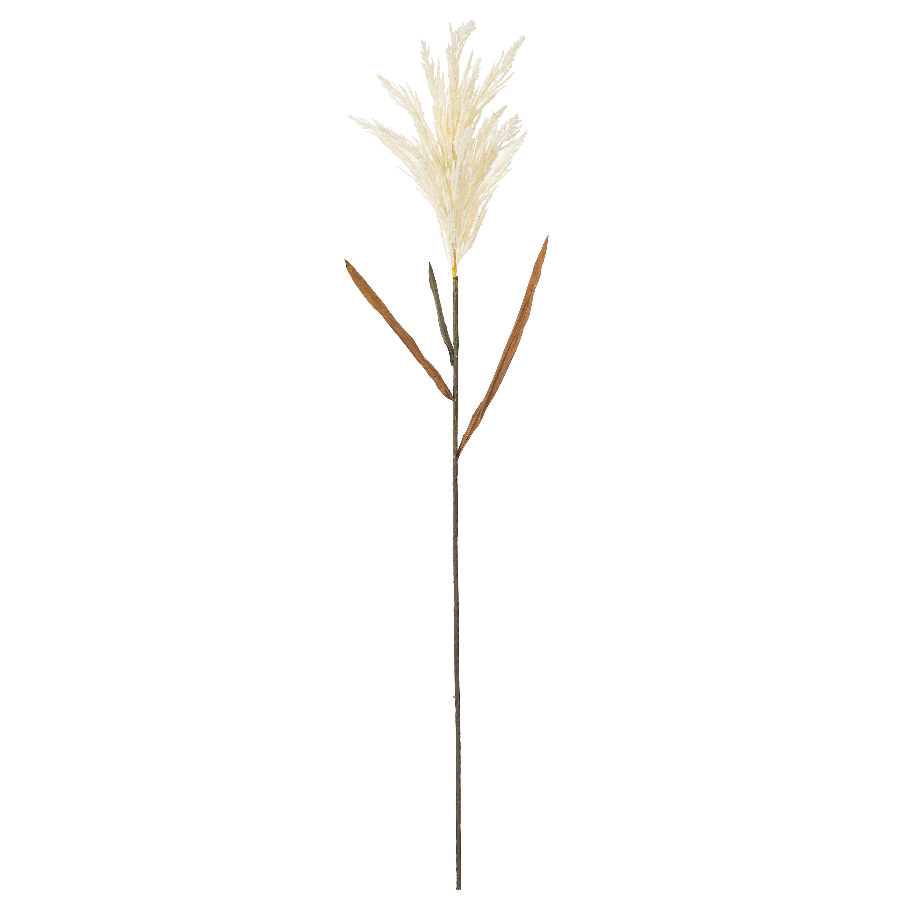 Primrue 2 - Piece Artificial Reed Plant Set | Wayfair