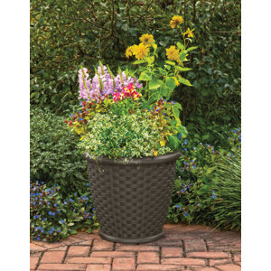 Planters You'll Love - Wayfair Canada