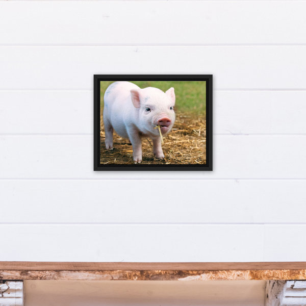 Latitude Run® Little Piglet Floating Framed Canvas | Wayfair