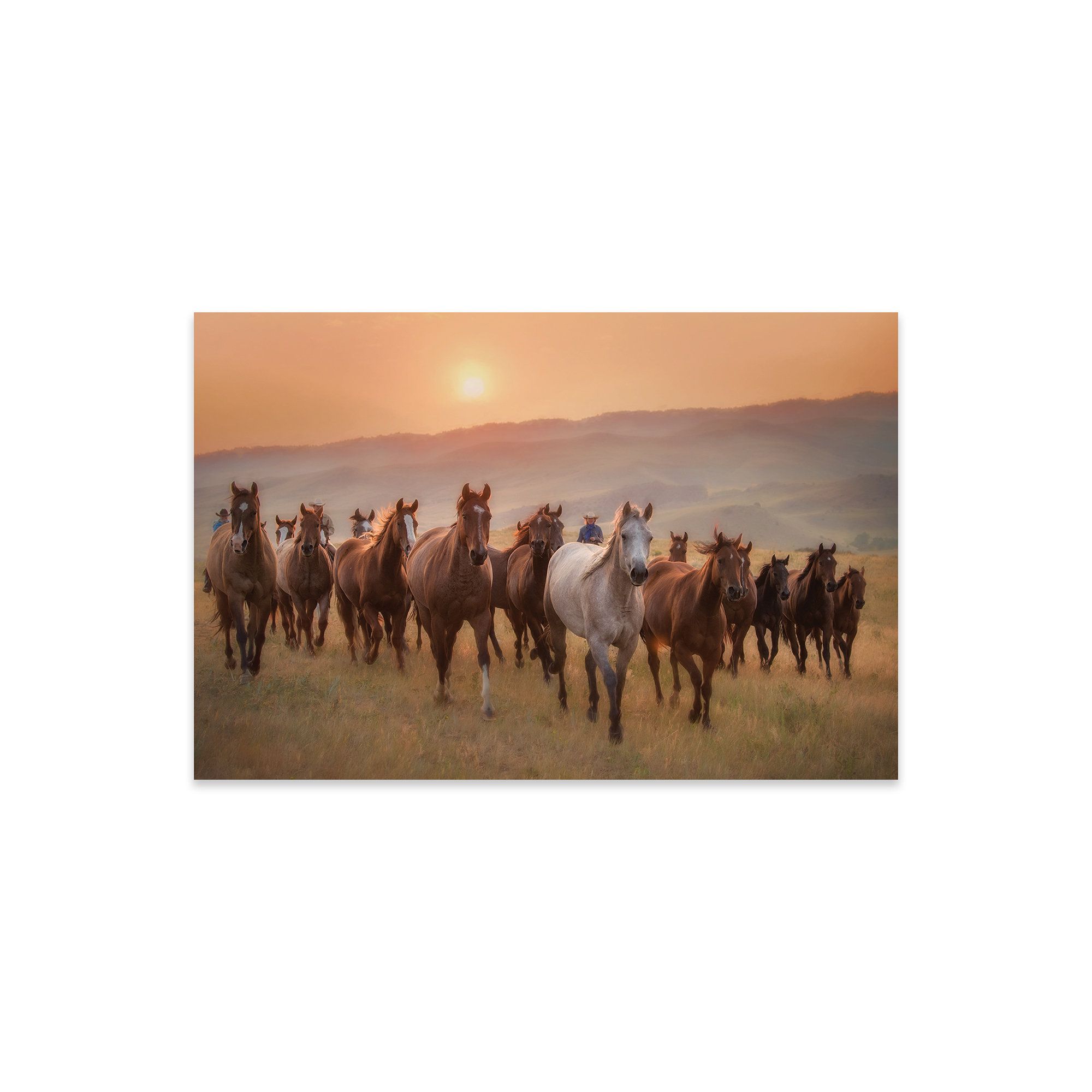 Union Rustic Kamarian Sunkissed Horses II by PHBurchett - Unframed ...