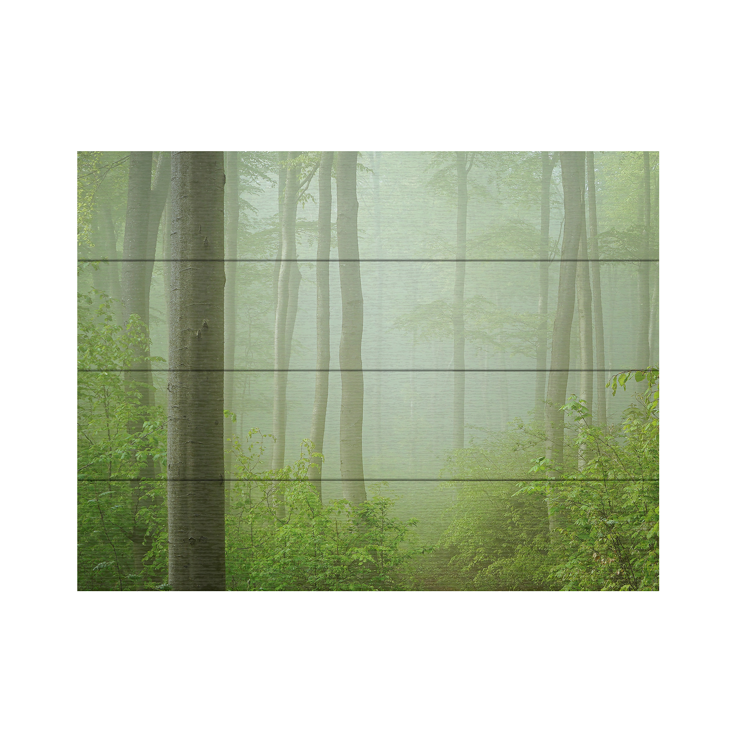 Winston Porter Norbert Maier Spring Awakening Wood Slat Art - Wayfair ...