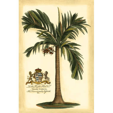 Bayou Breeze British Colonial Palm III On Canvas by Vision Studio ...