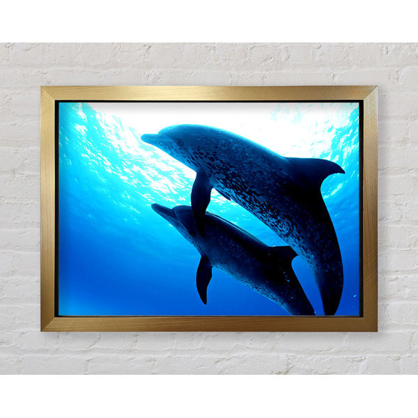 Bright Star Dolphins Under The Sea - Single Picture Frame Print ...