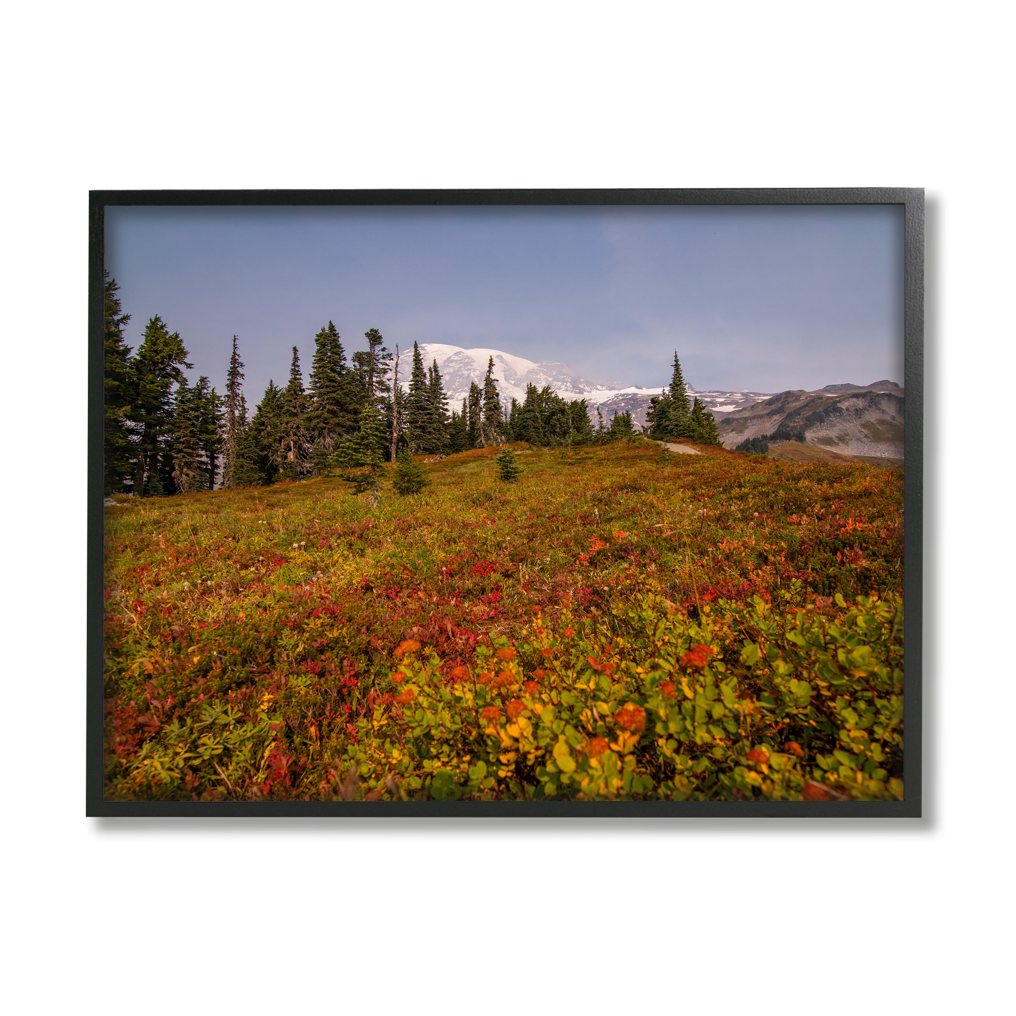 Stupell Industries Mountain Meadow Scenery Canvas Wall Art Design by ...