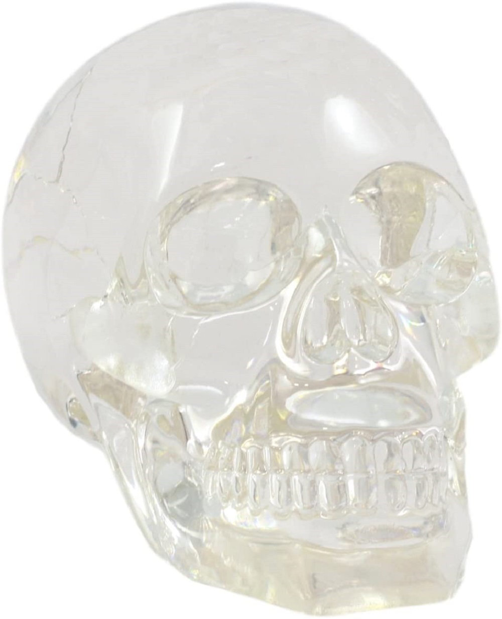 Trinx Ebros Clear Translucent Witching Hour Gazing Skull Statue 5.5 ...