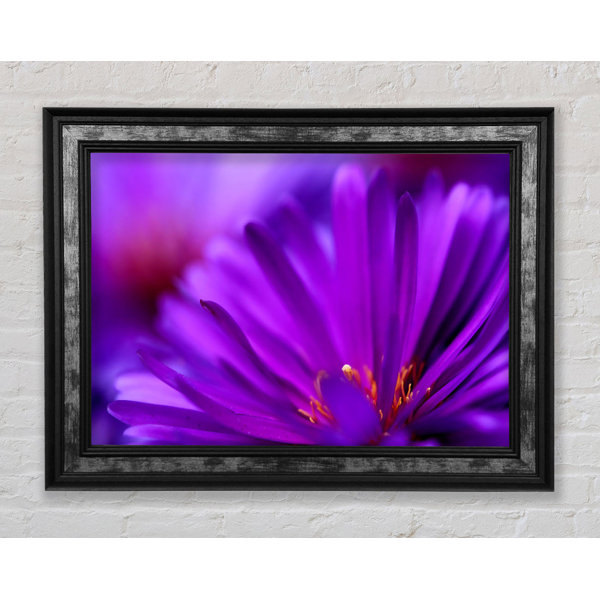 Bright Star Purple Flower Petals - Single Picture Frame Print | Wayfair ...
