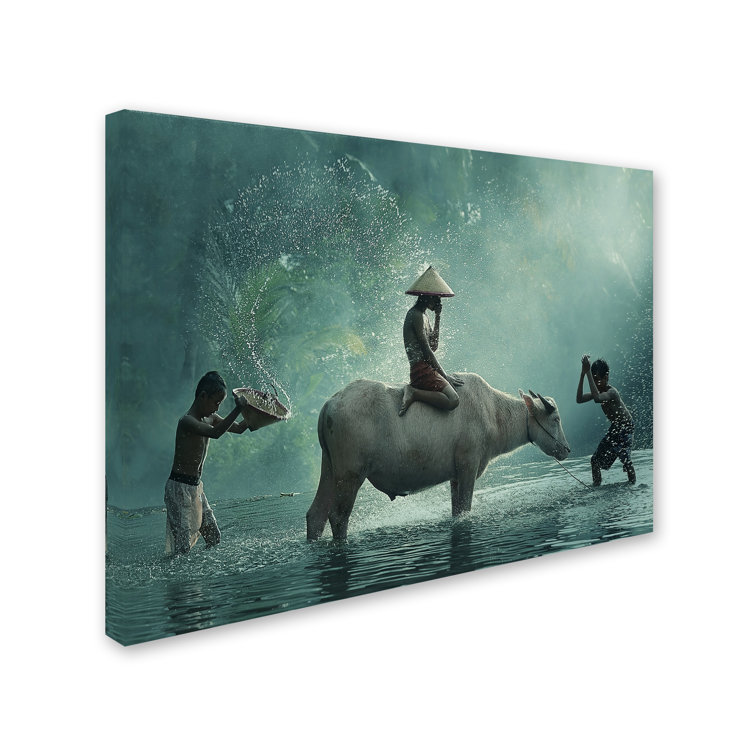 Trademark Art 'Water Buffalo' Photographic Print on Wrapped Canvas ...