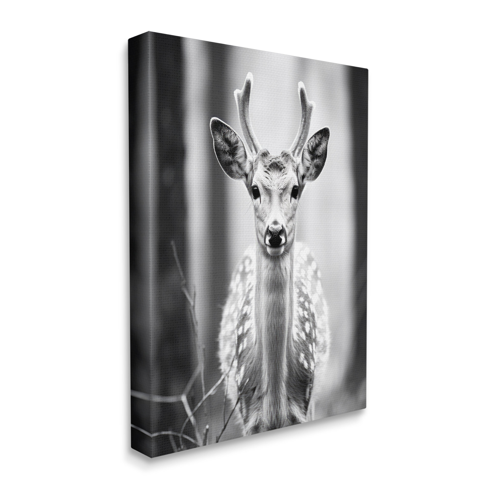Millwood Pines Baby Fawn Photography by Ray Powers | Wayfair
