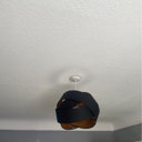 George Oliver 20cm H x 34cm W Cotton Novelty Pendant Shade ( Screw On ...