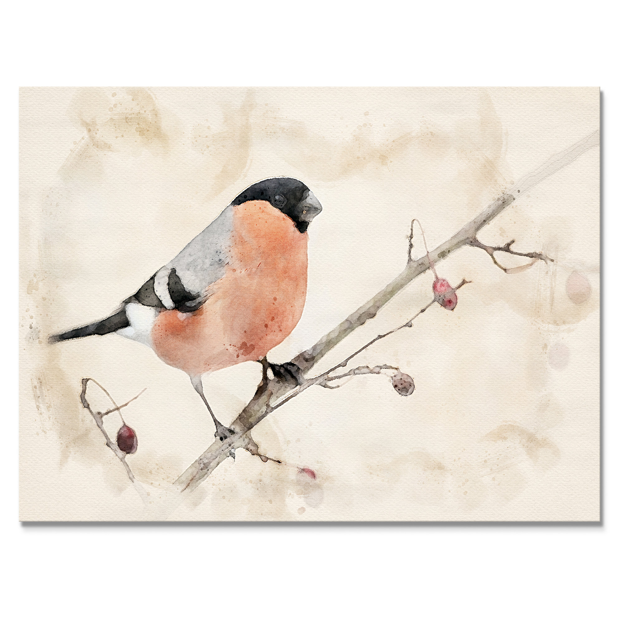 Winston Porter Beige Eurasian Bullfinch Bird - Floater Frame Print on ...