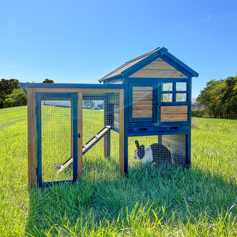 Tucker Murphy Pet™ Demitz Small Animal Hutch & Reviews | Wayfair