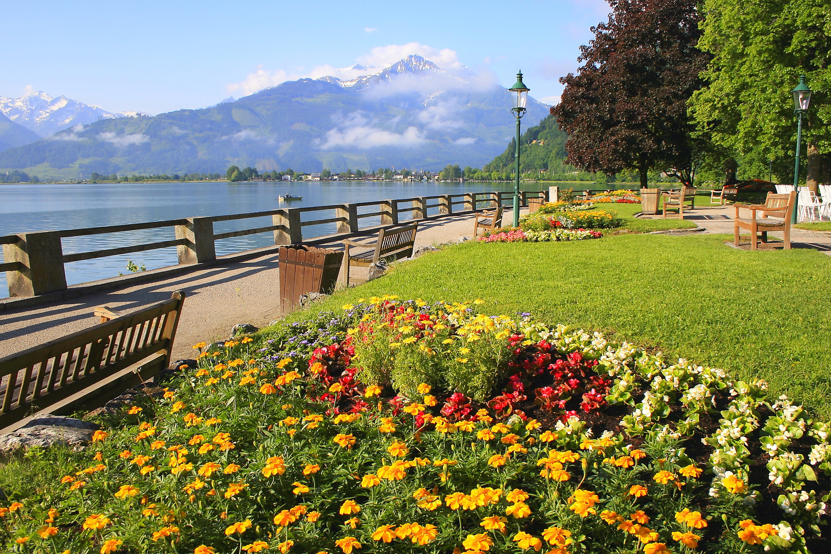 Latitude Run Public park at springtime | Wayfair.co.uk