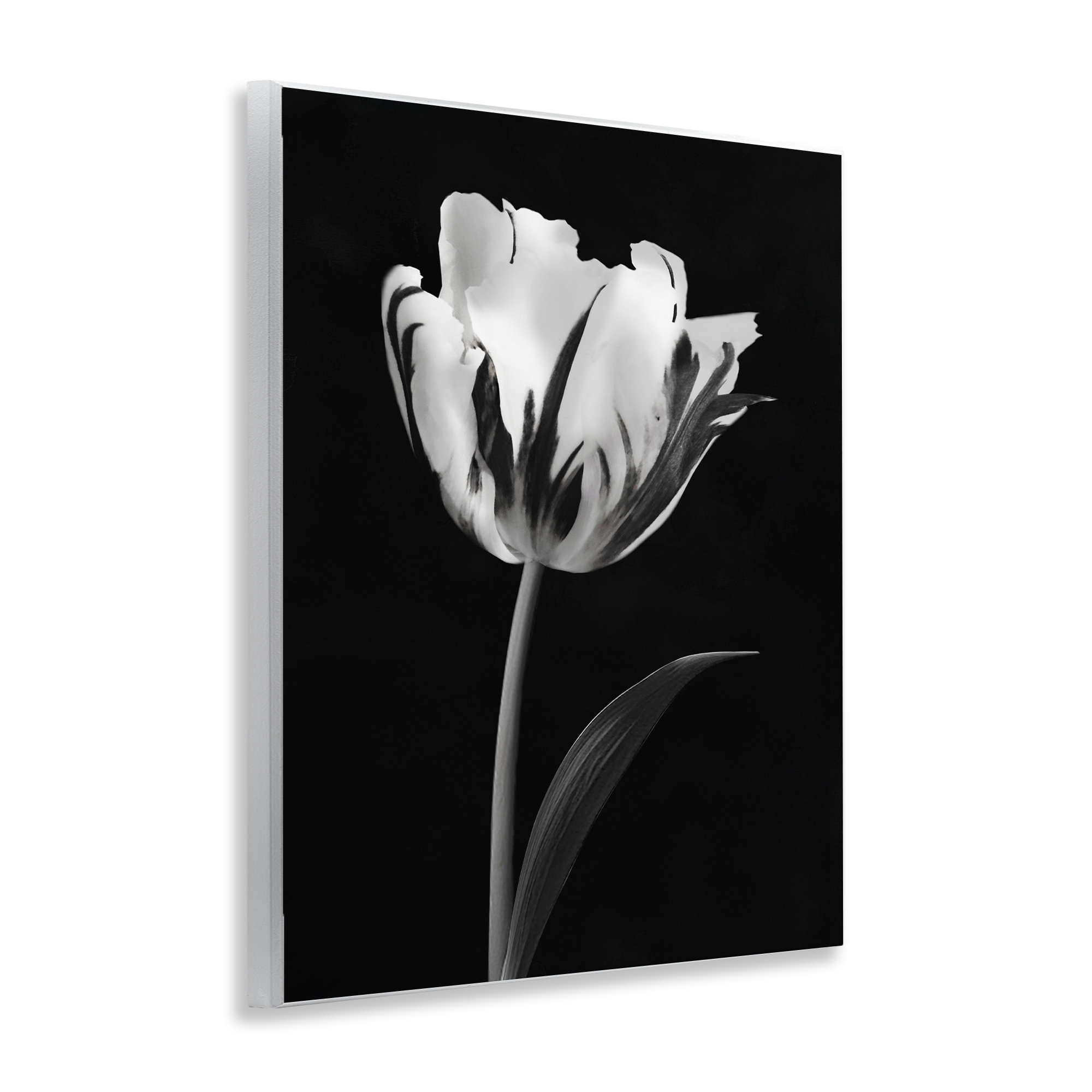 Hokku Designs Modern Flower Stark Black Wall Plaque, design by CAD ...