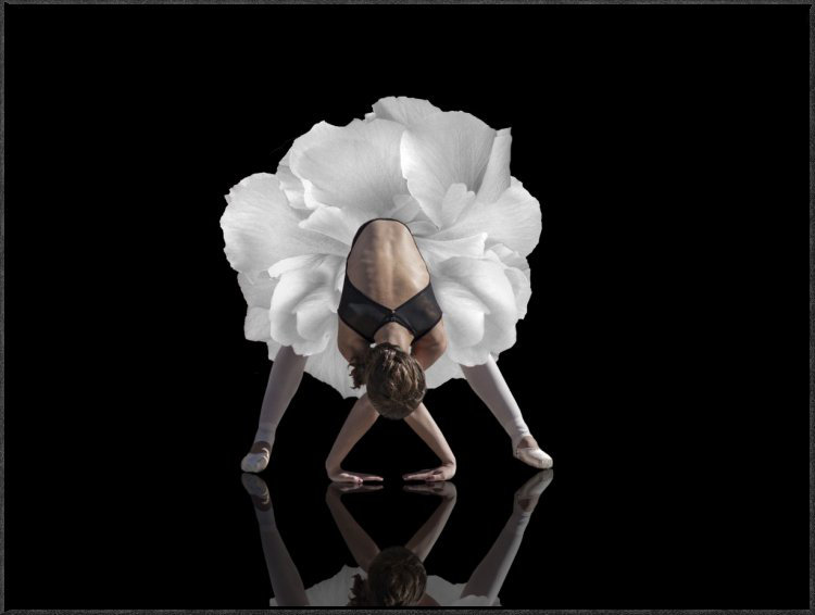 Wayfair.com - Online Home Store for Furniture, Decor, Outdoors & More