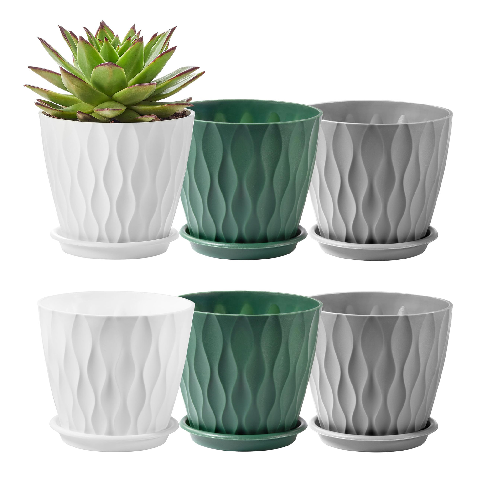 Wrought Studio™ 6-Pack 6-Inch Plastic Plant Pots with Saucers ...
