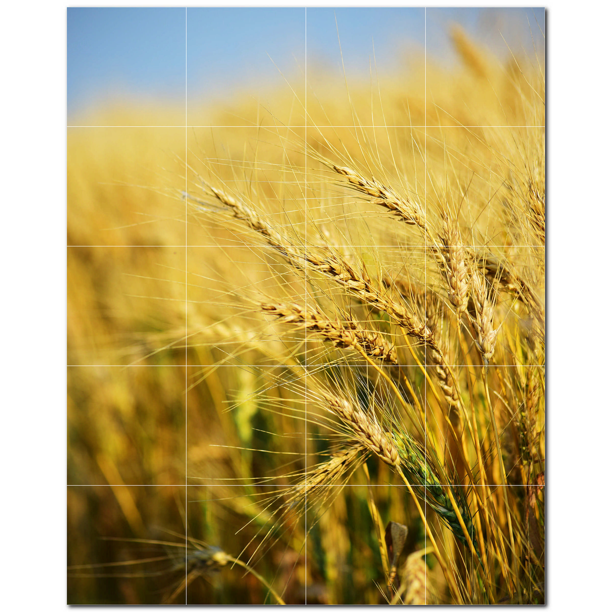 Picture-Tiles.com 24" x 30" Ceramic Farm Photo Decorative Mural Tile ...