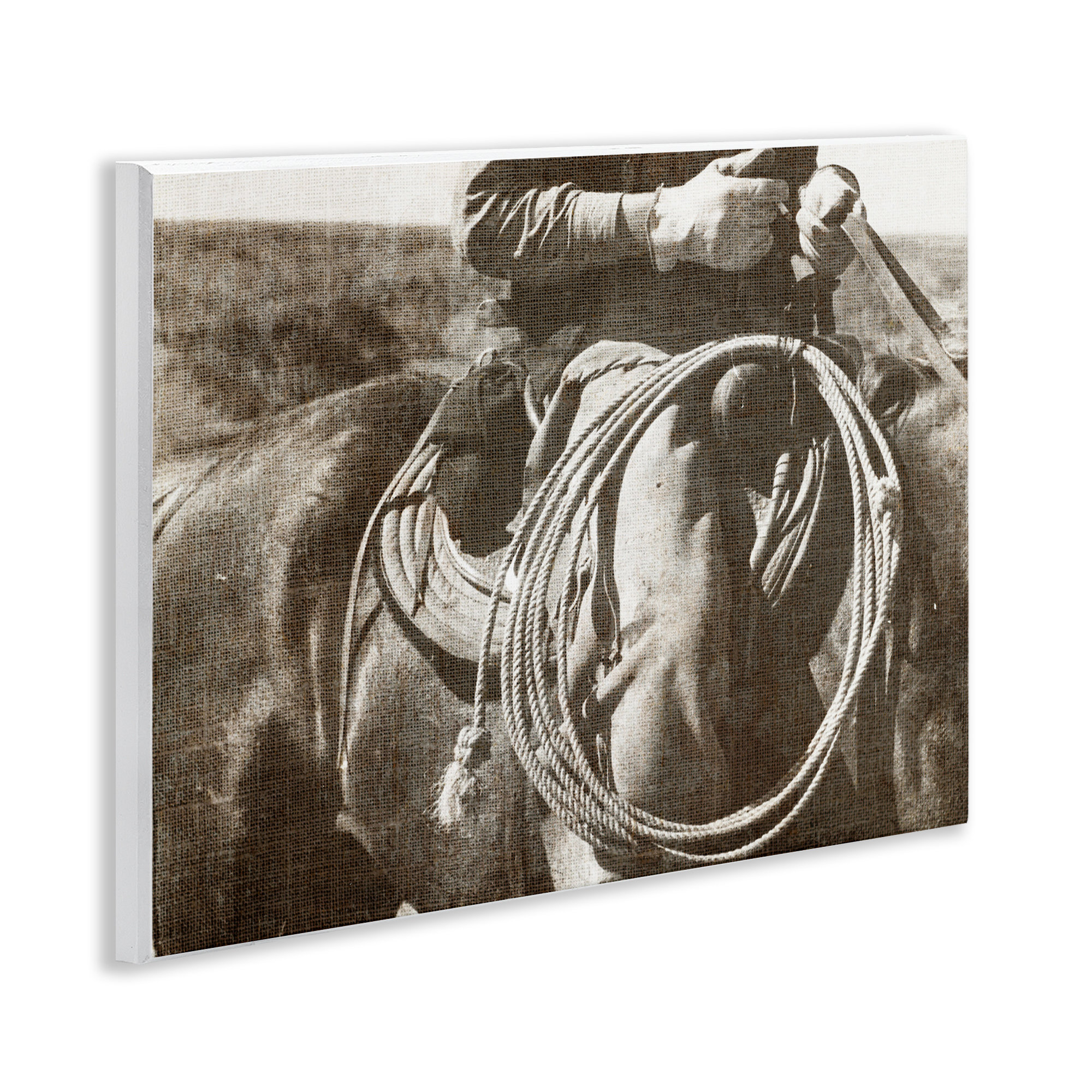 Union Rustic Cowboy with Lasso Wall Plaque Art by RileyB | Wayfair