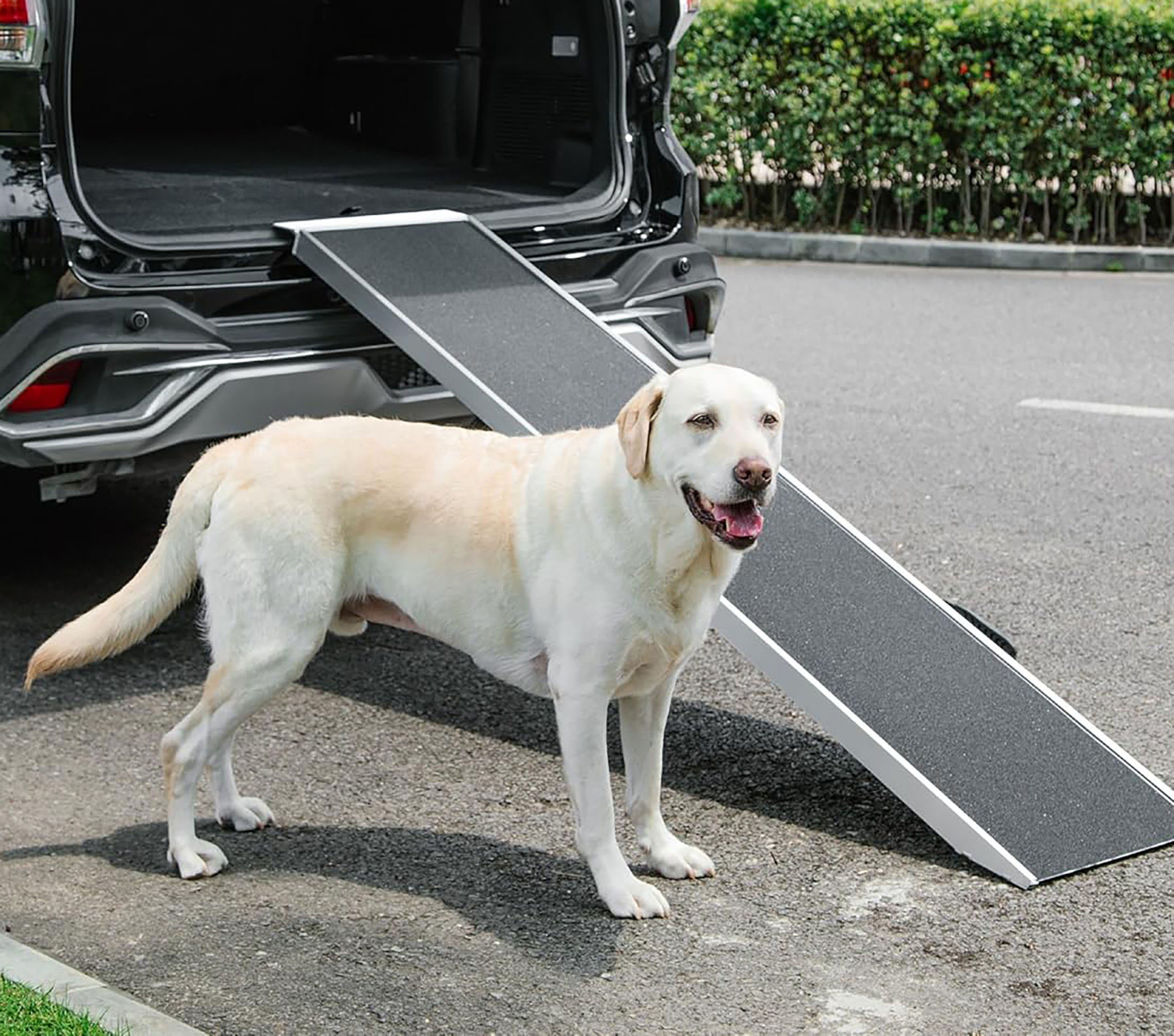 Tucker Murphy Pet™ Dog Ramp For Large Dogs, Portable Folding Pet Ramp ...