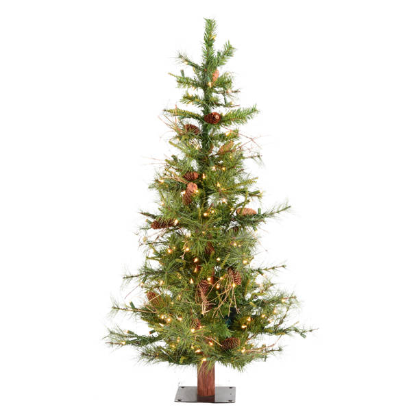 The Holiday Aisle® Ashland Fir Tree Ashland Fir Artificial Christmas ...