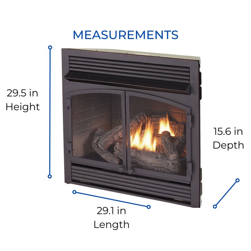 Duluth Forge Dual Fuel Ventless Gas Fireplace Insert - 32,000 BTU ...