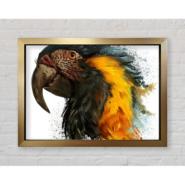 Bright Star Rainbow Splatter Parrot - Single Picture Frame Print ...