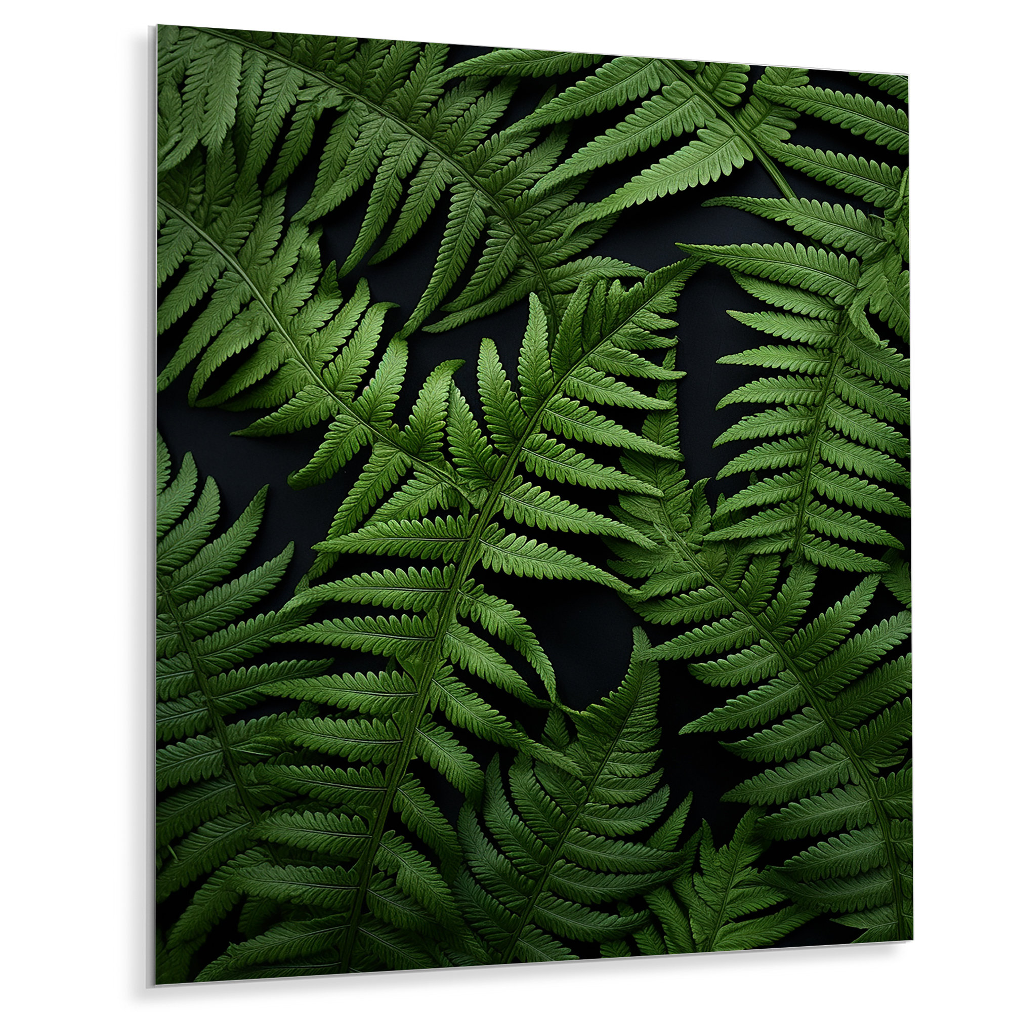 Gracie Oaks Ferns Plant Delicate Intricacy - Ferns Metal Wall Art ...