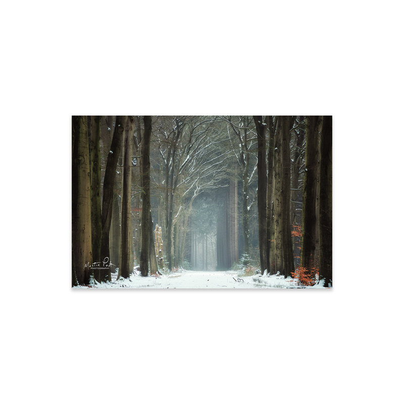 Millwood Pines Winer Alley by Martin Podt Painting | Wayfair