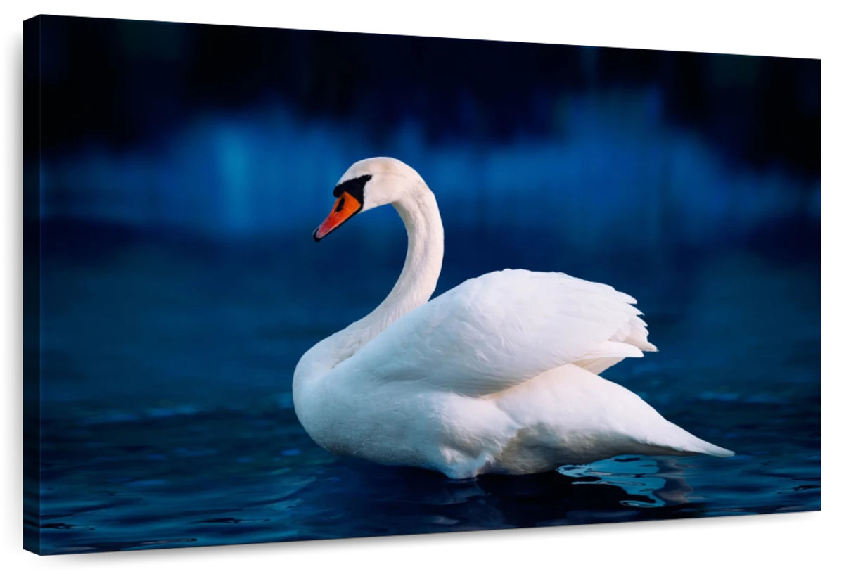 Ebern Designs Brampt Pure White Swan | Wayfair